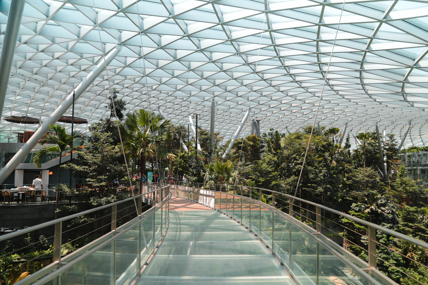 DISCOVER CHANGI JEWEL | Tribe Tours